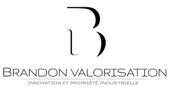 logo-valo - SISMEO - agence web à Paris
